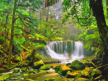 Ganjus Forest | Bloodhollow and Beyond - A Vigil of Vesh Campaign ...